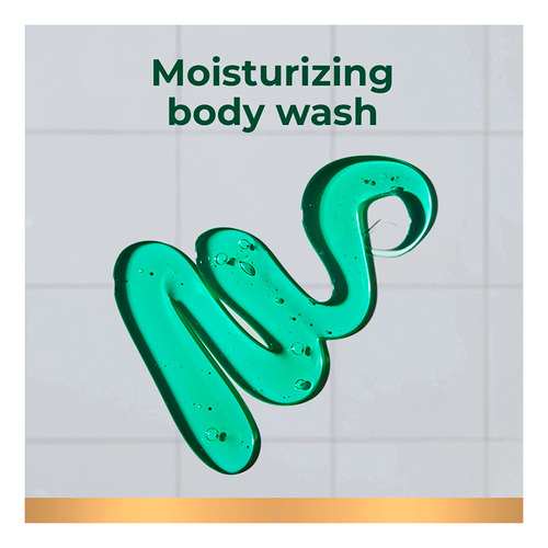 Kit Irish Spring Sabonete Corporal Masculino 591ml Cada – Veve importados