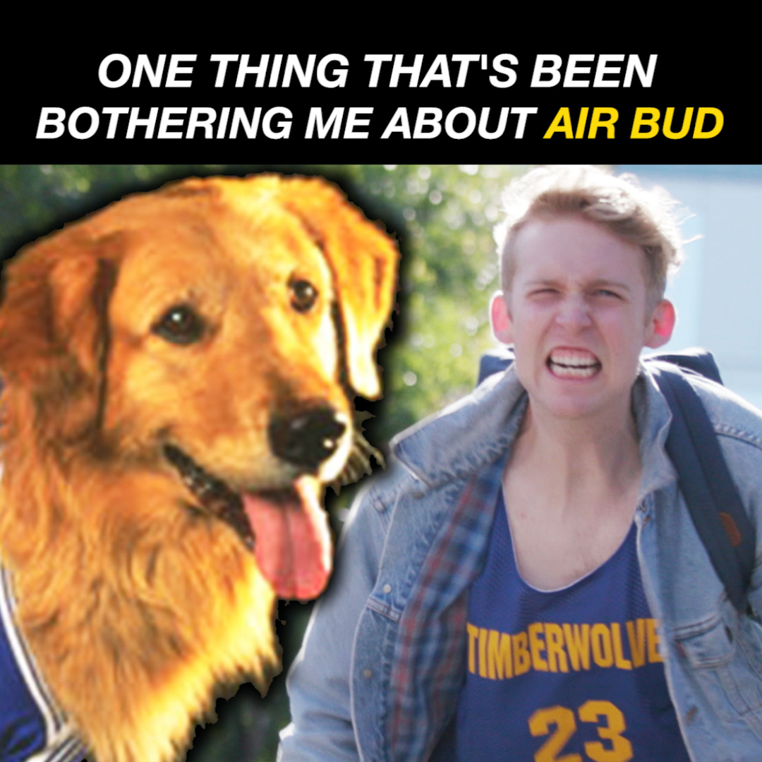 One Thing You Never Noticed About "Air Bud"