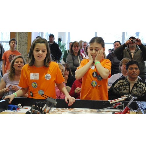 Microgenetic Learning Analytics