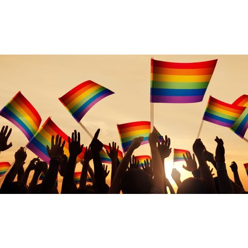 Breaking Barriers: LGBTQ Inclusion in STEM