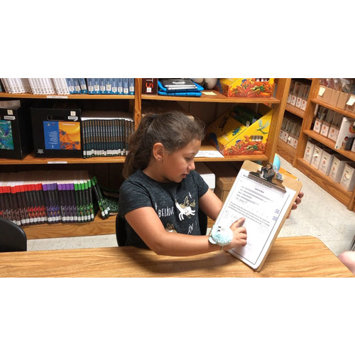 Pirate Math Equation Quest