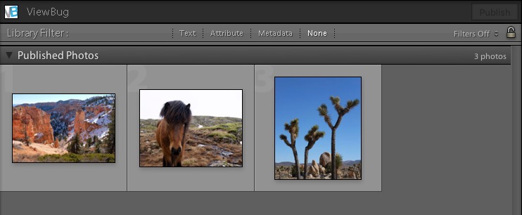 How To Publish To Your Account From Lightroom - VIEWBUG.com