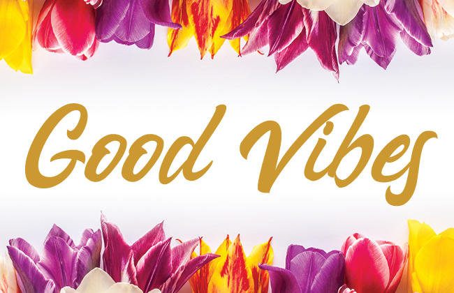 Promotions & Special Offers - Virgin Hotels Las Vegas