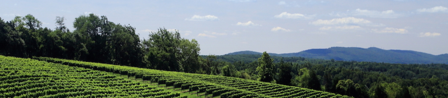 Northern Virginia | Virginia Wine