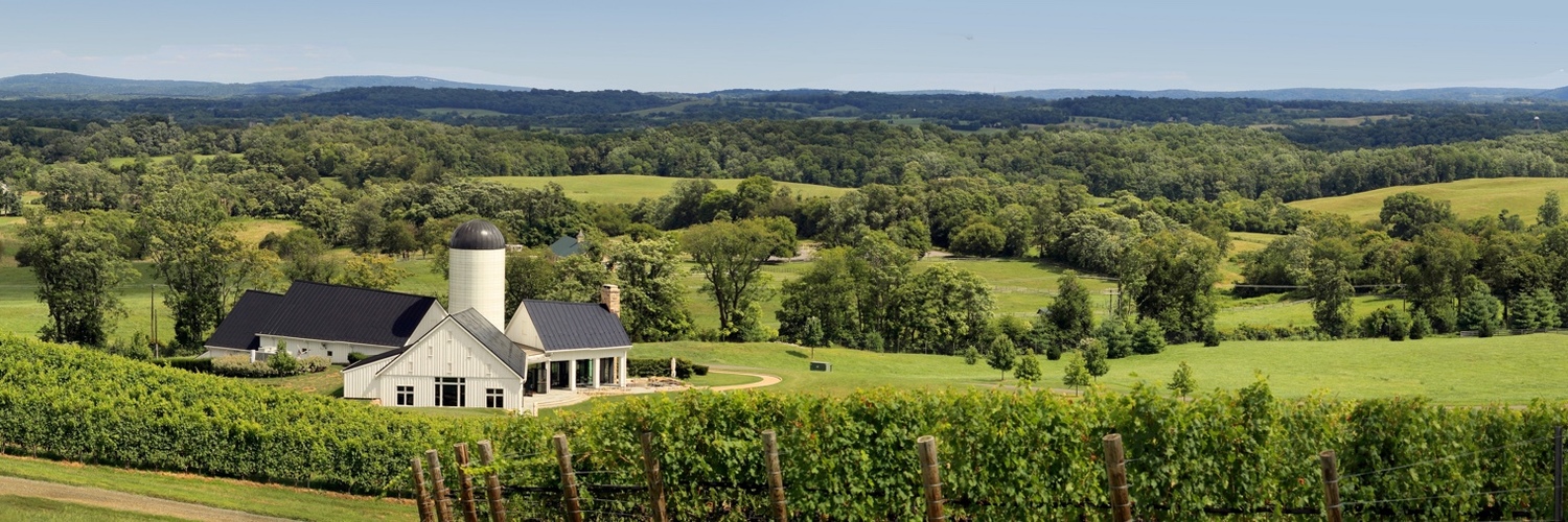 RdV Vineyards | Virginia Wine