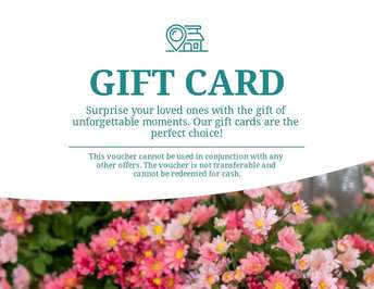 Design a Gift Card SM Marketing Masterpiece with Desygner ...