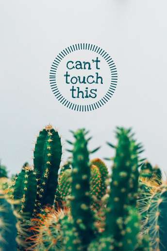 Gestalte Pinterest Bilder kostenlos | Pinterest Vorlagen von Desygner