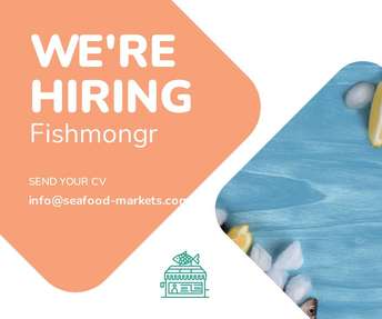 Make the Most of Your Medium Rectangle Ad: 10 Tips for Designing an ...