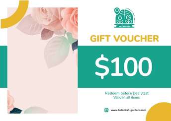 Creating Professional Voucher Designs with Desygner: A Step-by-Step ...