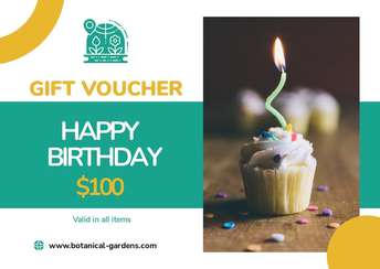 Creating Professional Voucher Designs with Desygner: A Step-by-Step ...