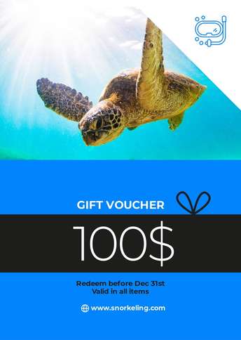 Creating an Eye-Catching Voucher Design with Desygner - A Step-by-Step ...