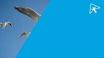 Bring Style to Your Zoom Meetings with Desygner: The Ultimate Guide to ...