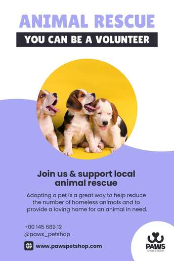 Save Time with Editable Pinterest Format Awareness Campaigns on Desygner