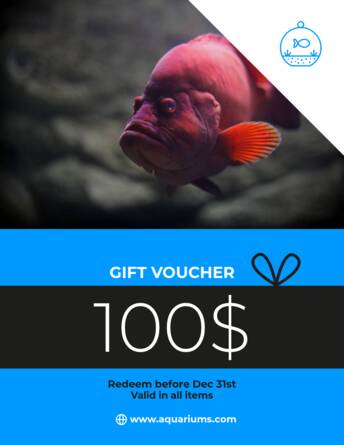 Grow Your Business with the Power of a Voucher SM Strategy: Tips for ...