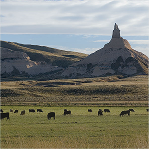 Visit Nebraska | Nebraska Tourism Commission