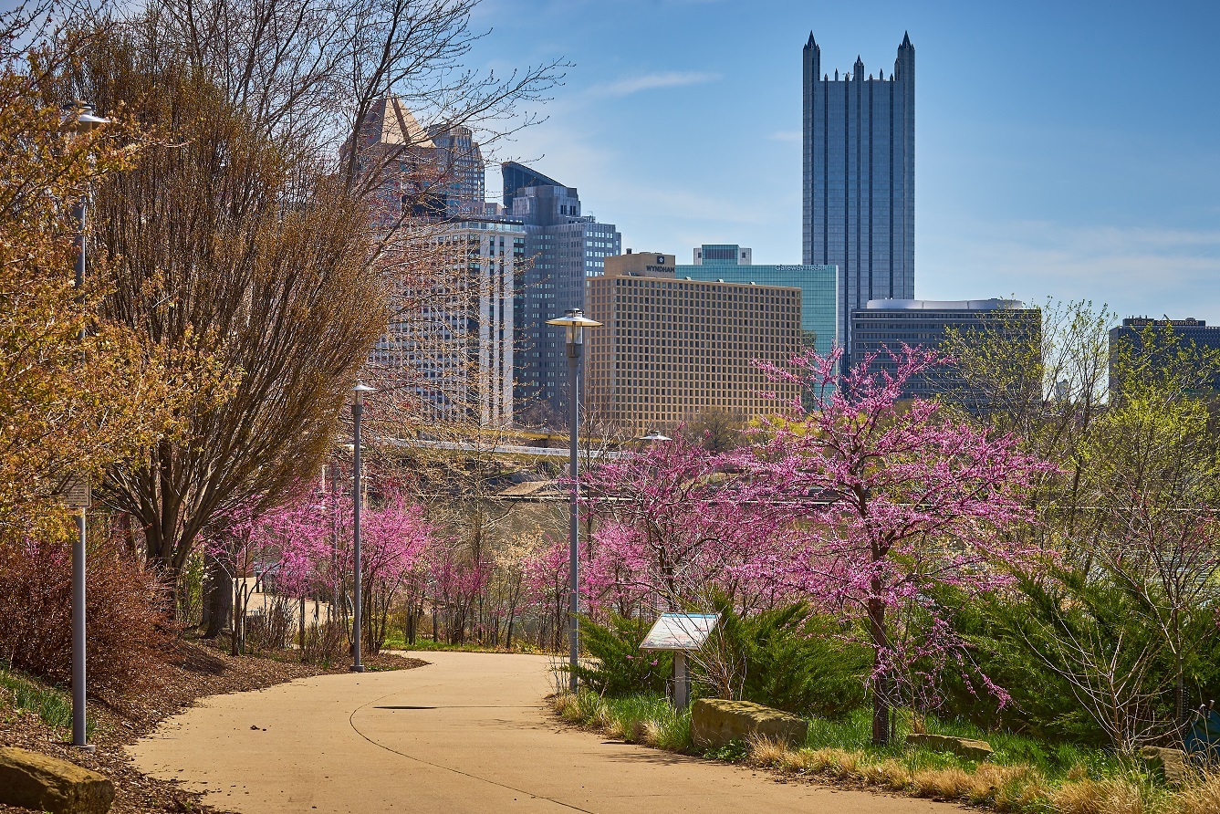 Insider's Guide to the Pittsburgh Redbuds 🌸 Maps, Forecast & Tips