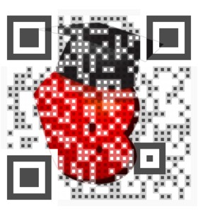 Visual QR Code by info | Visualead