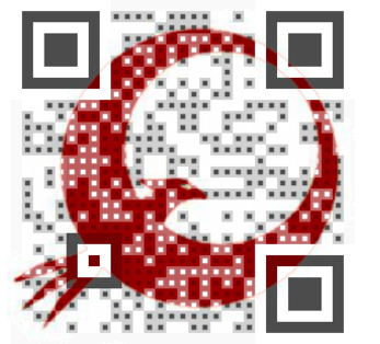 Visual QR Code by rodrigo | Visualead