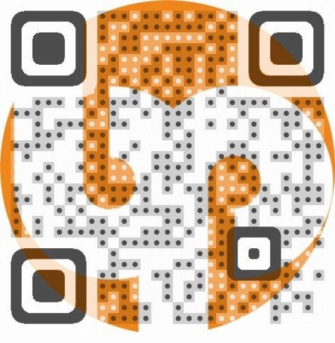 Visual QR Code by Bertin Picanço | Visualead