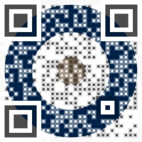All In One QR Code | Visualead