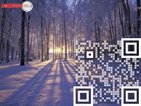 vCard QR Code | Visualead