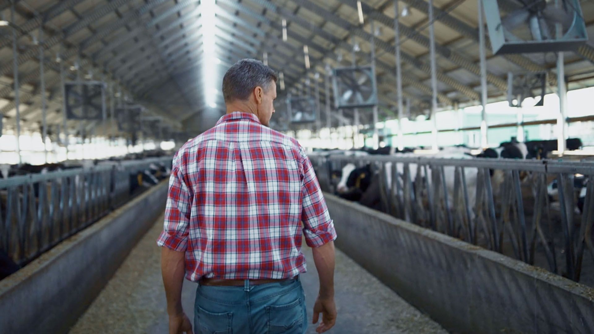 Ever.Ag’s New Campaign Showcases How They Simplify the Intricacies of ...
