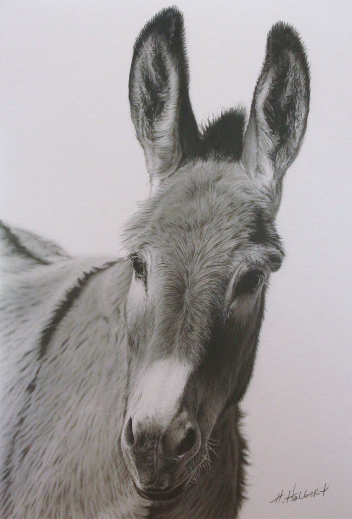 Howard Halbert Paintings | Vintage Texas Paintings