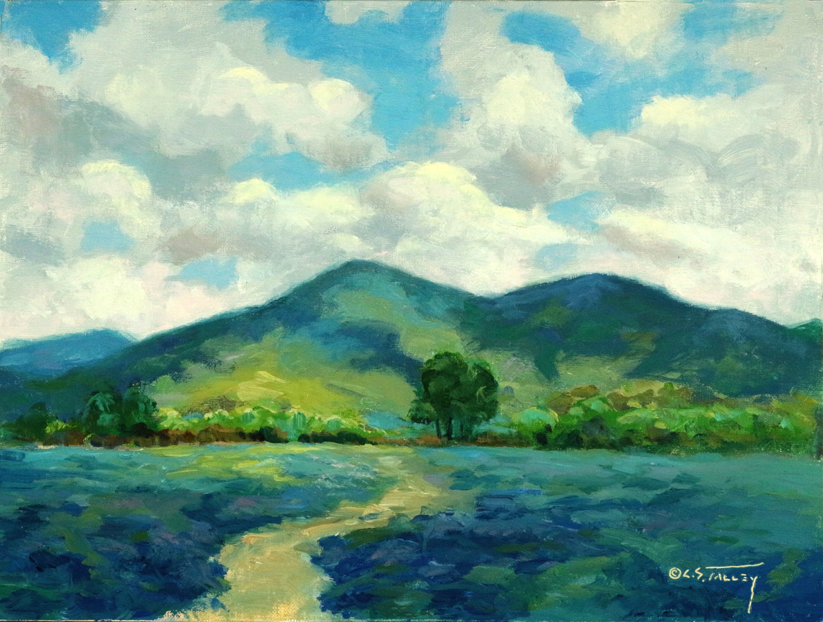 C.S. Steve Talley Paintings | Vintage Texas Paintings