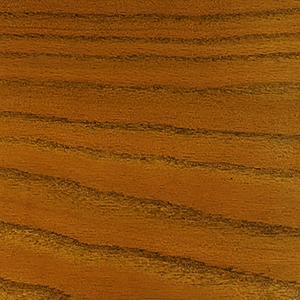 Ghent | Reliant Display Case