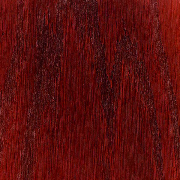 Ghent | Varsity Display Case