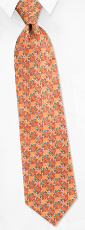 Frog Theme Ties and Neckties as Gifts