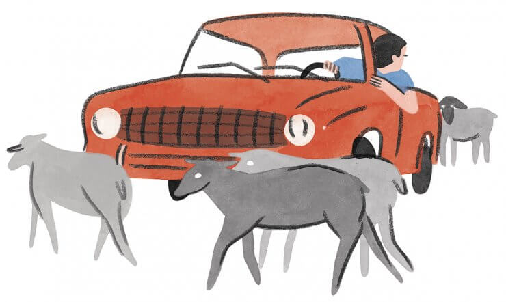 The Best Car I Ever Had | The Walrus