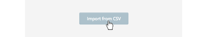 Import customer lists via CSV