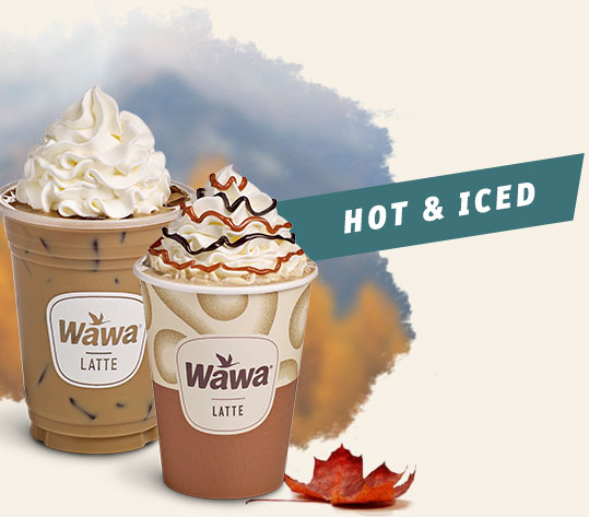 Wawa Chai Tea Nutritional Information | Besto Blog