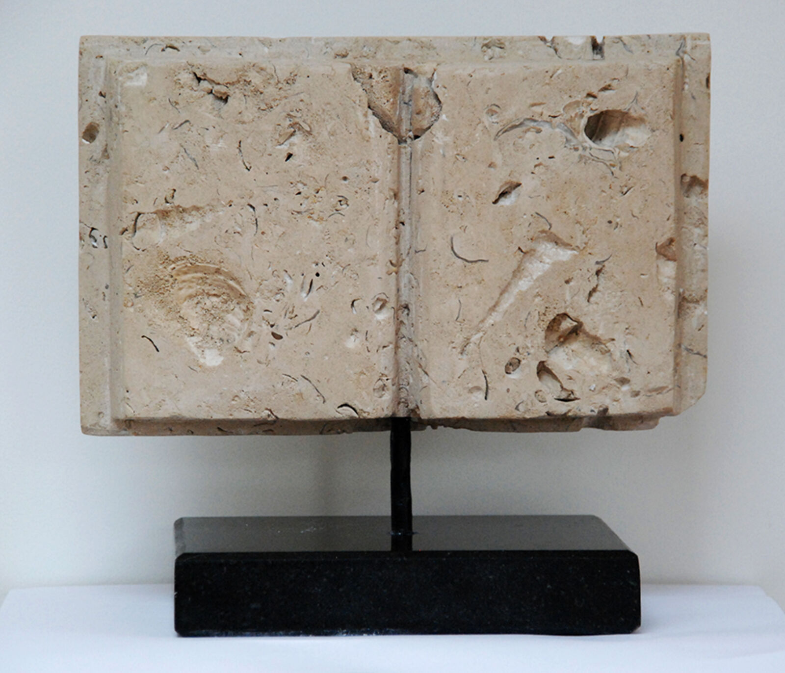 The book of Fossils - portland stone