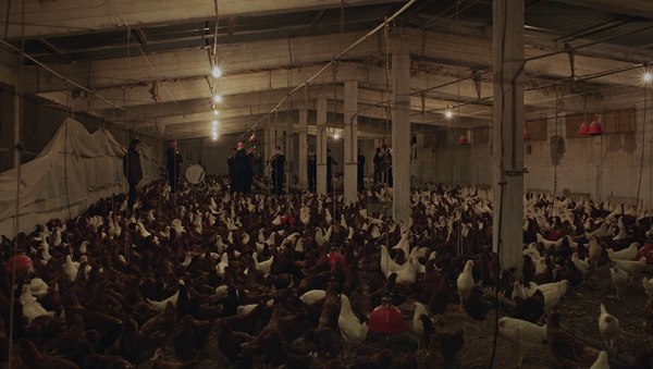 If I Ever Get A Monument Chickens Will Do It For Me (Requiem#3 ...