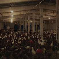 If I Ever Get A Monument Chickens Will Do It For Me (Requiem#3)