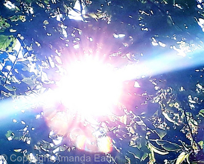 Amanda Eady - Oil Paintings, Photography, Video Installation and ...