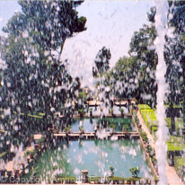 Amanda Eady - Oil Paintings, Photography, Video Installation and ...