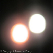 Amanda Eady - Oil Paintings, Photography, Video Installation and ...