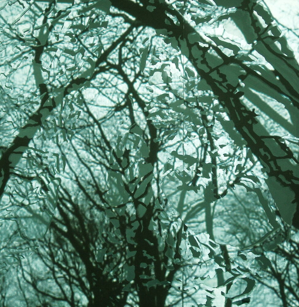 Meditations on woodlands and politics