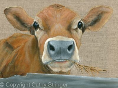 Maisey - Giclee Print