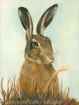 Brown Hare - Giclee Mounted Print