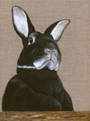 Rabbit - The General - Giclee Mounted Print