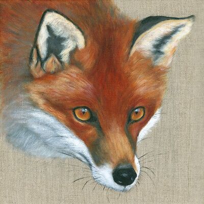 Red Fox - Giclee Mounted Print
