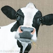 Cow Paintings