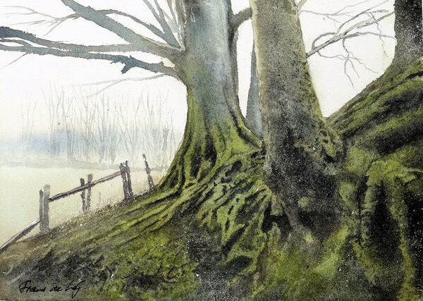 Roots - Watercolour