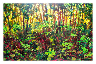 HAZEL COPSE - Acrylic on board