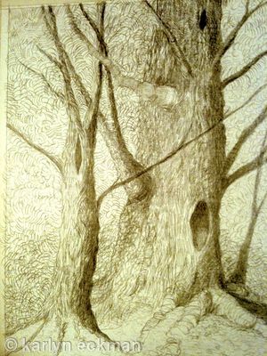 Silverpoint Tree - Silverpoint and watercolor