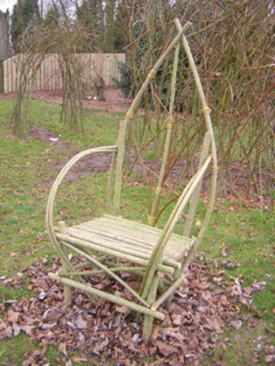 living willow chair - live willow